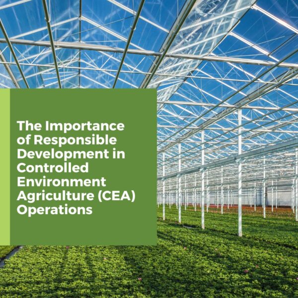 CEAd Growing Knowledge: The Importance of Responsible Development in ...